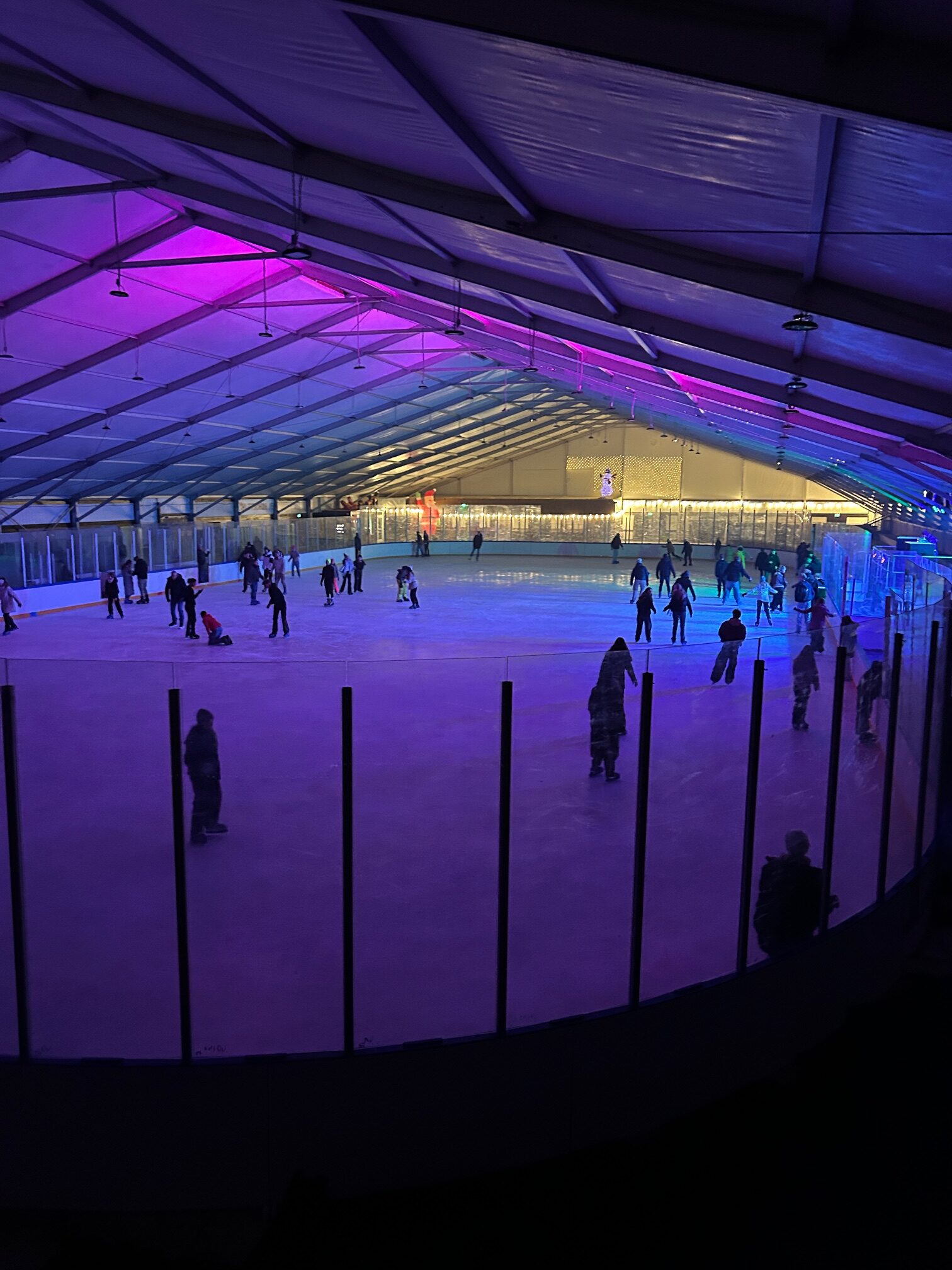 Startseite - Ice Dome Mainz